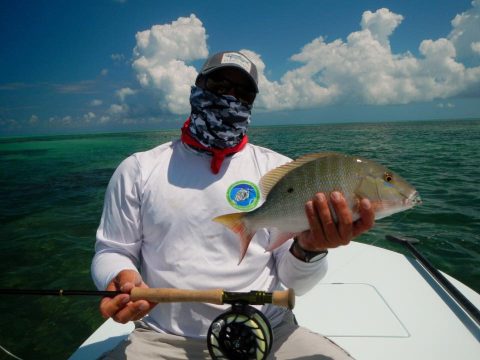 Snapper Fishing Charters - Native Charters